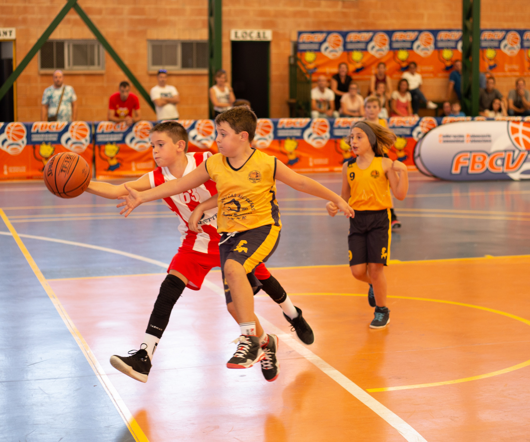 Las Competiciones IR mantienen su crecimiento - FBCV